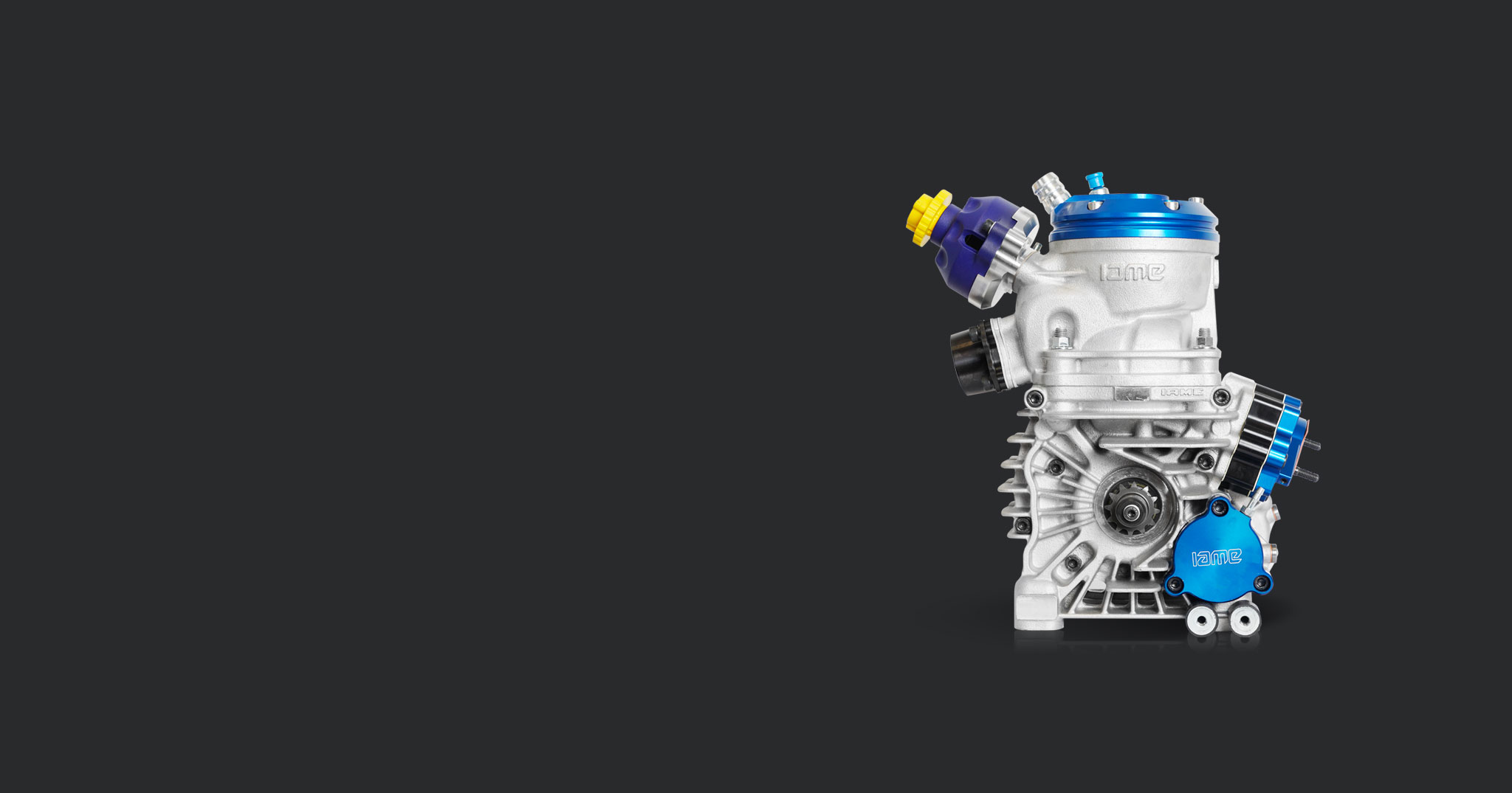 Iame Karting | Official Engines